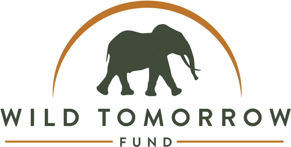 Download Wtf Logo Color Medium Format=1000w PNG Image with No ...