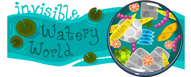 Invisible Water World Illustration Showing Microorganisms - Plankton ...