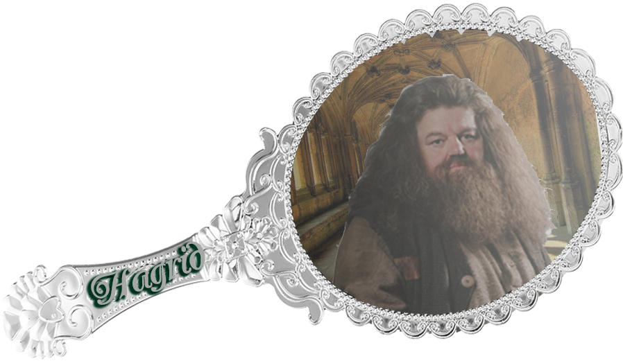 User Avatar - Harry Potter Hagrid Life Size Cut Out - Free Transparent ...