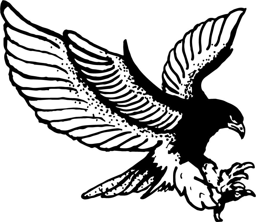 Download Hawk - Drawing PNG Image with No Background - PNGkey.com