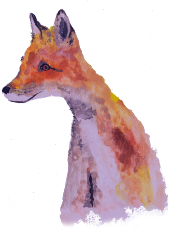 Download Swift Fox PNG Image with No Background - PNGkey.com