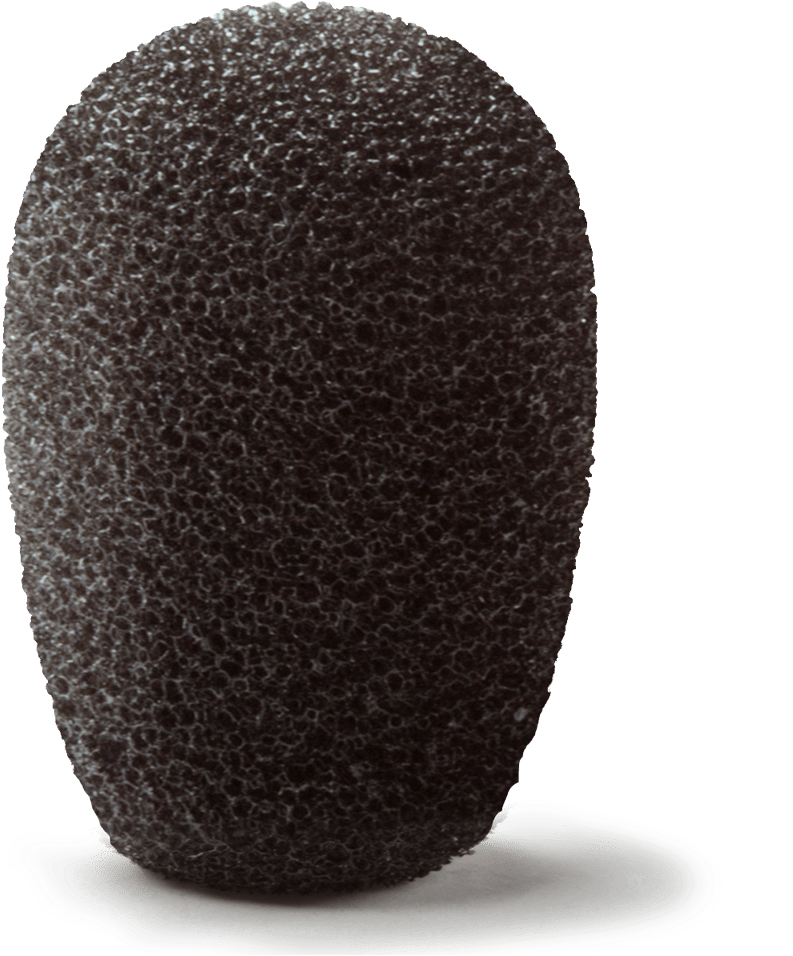 Download Wsnr-bl Dual Mic Windscreen - Point Source Audio Windscreen ...