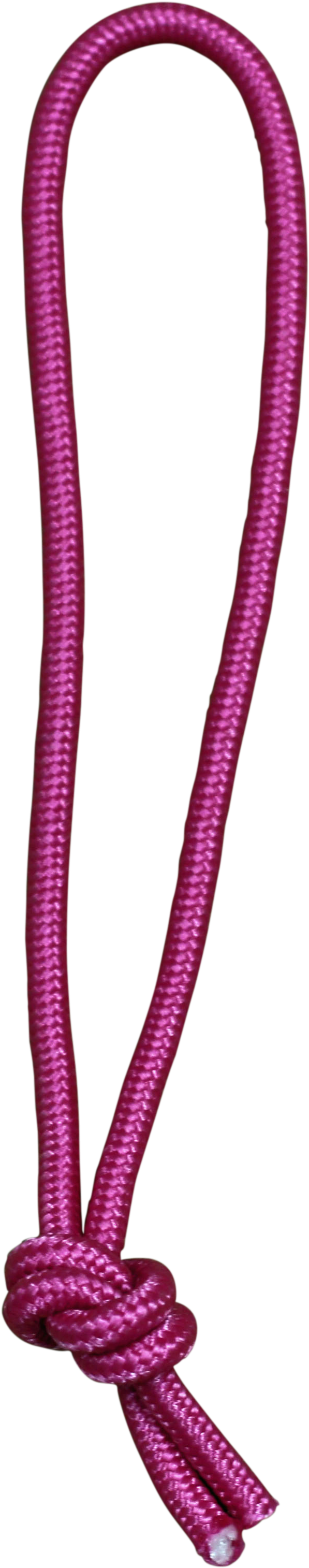 Download String Rope Png - Leash PNG Image with No Background - PNGkey.com