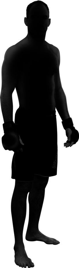 Pingyuan - Shadow Fighter Png - Free Transparent PNG Download - PNGkey