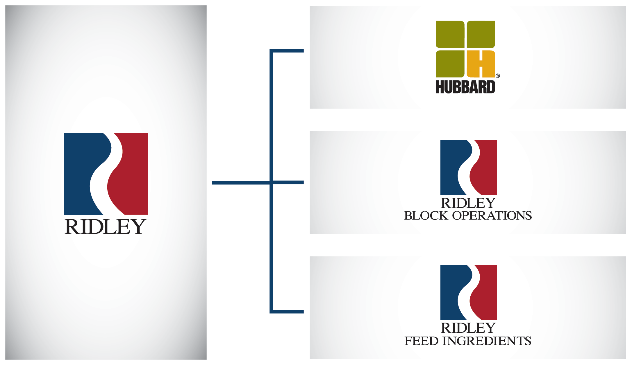 Download Ridley Division Tree - Ridley Inc. PNG Image with No ...