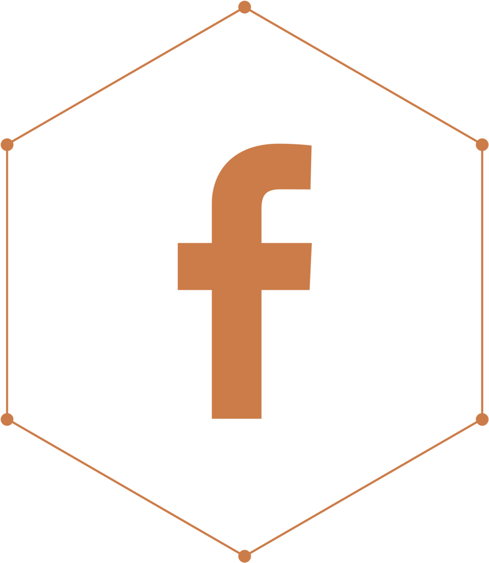 Download Follow Us On Facebook - Fb Icon Vector Png PNG Image with No ...