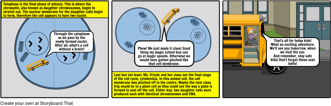Download The Magic School Bus - Storyboard PNG Image with No Background ...