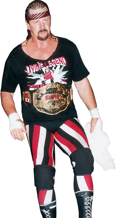 Download Ecw Champion Terry Funk - Terry Funk Us Champion PNG Image ...