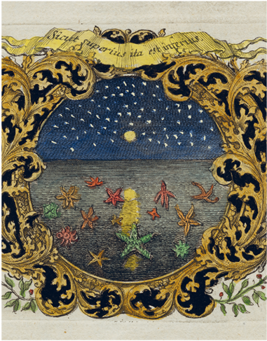 Starfish & Starry Night - Motif - Free Transparent PNG Download - PNGkey