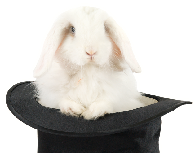 Magic Bunnies - Magician Rabbit Png - Free Transparent PNG Download ...