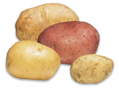 Potatoes - Roots And Tubers Vegetables - Free Transparent PNG Download ...