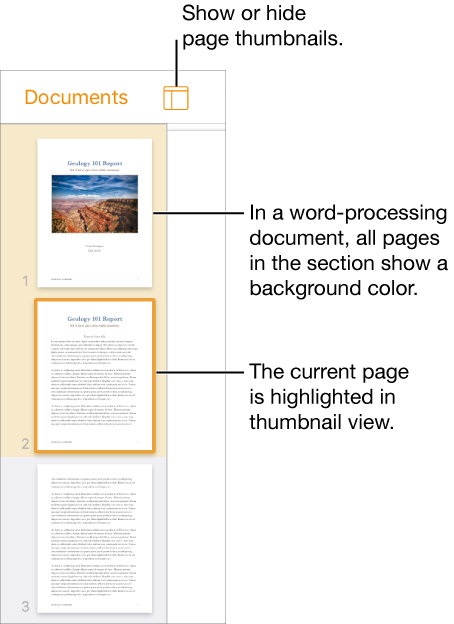 Download Page Thumbnail View On The Left Side Of The Screen - Thumbnail ...