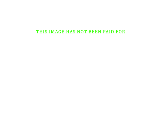 Download Checkers Scripts 3a - Papel Preto E Branco Quadriculado PNG ...