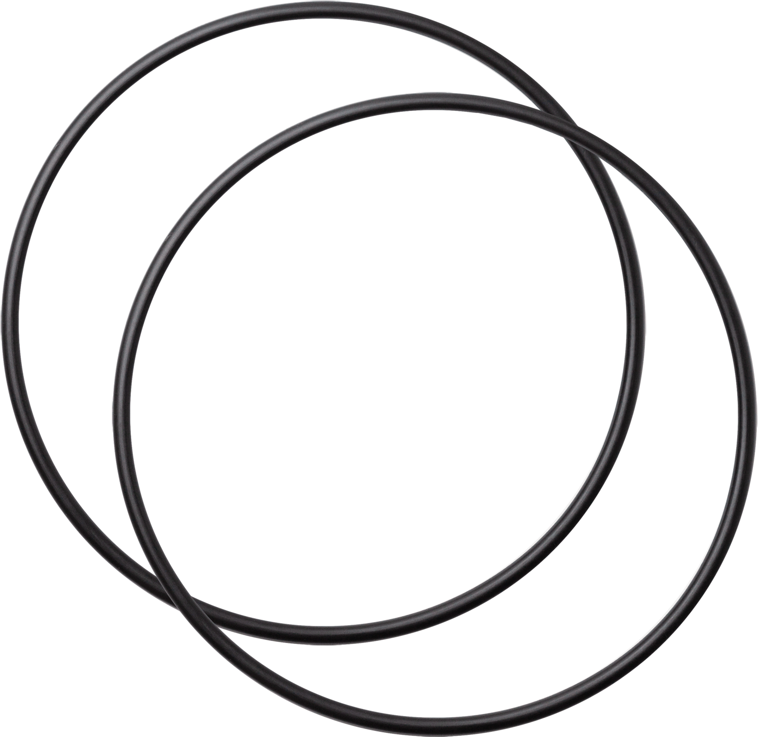 Download O-ring PNG Image with No Background - PNGkey.com