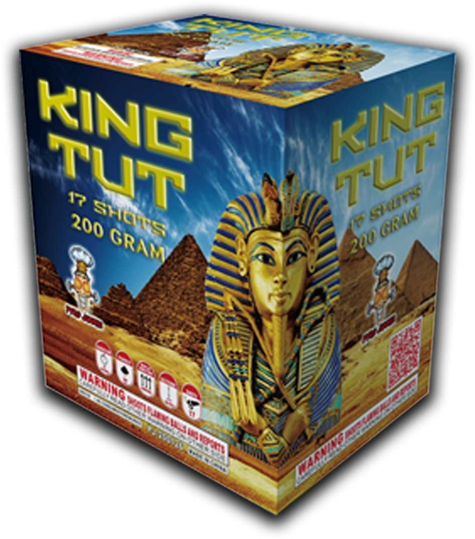 Download King Tut - Curse Of King Tuts Mummy Totally True Adventures A ...