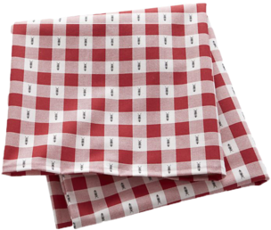 Picnic Blanket Png - Picnic Blanket With Ants - Free Transparent PNG ...