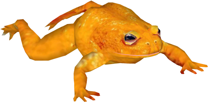 Download Posted Image - Golden Toad PNG Image with No Background ...