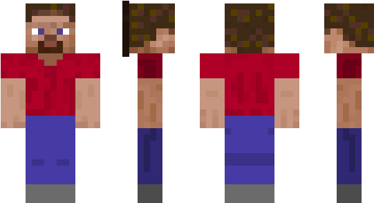 Download Minecraft Skin Succ - Snowdodger1 Angry Birds PNG Image with ...