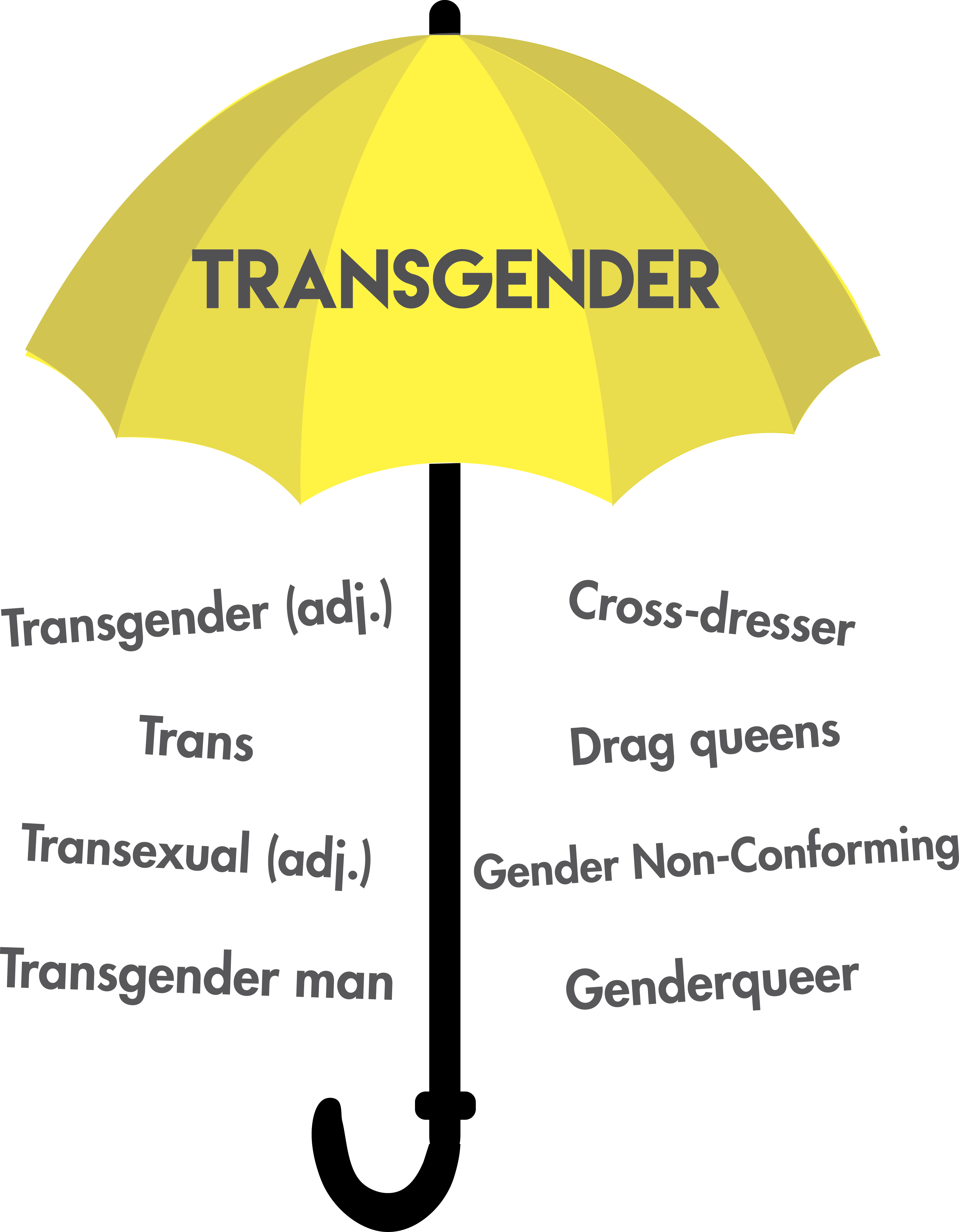 Download Graphic By Jacqueline Lin - Transgender Representation In The ...