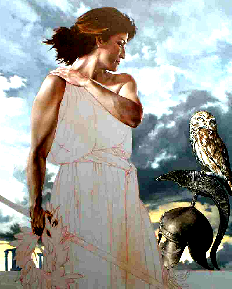 Download Introduction - Athena Strength PNG Image with No Background ...