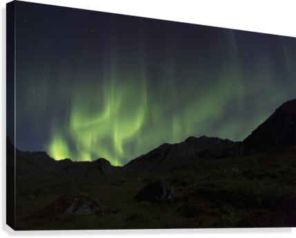 Aurora Borealis Dancing In The Talkeetna Mountains - Supplier Generic ...