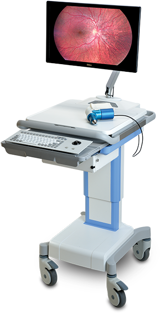 Phoenix Clinical - Icon Phoenix Clinical - Free Transparent PNG ...