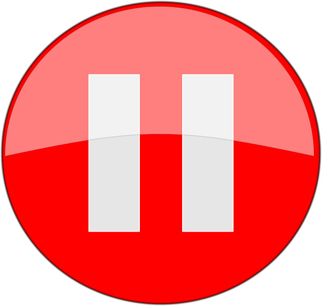 Small - Red Pause Button Png - Free Transparent PNG Download - PNGkey