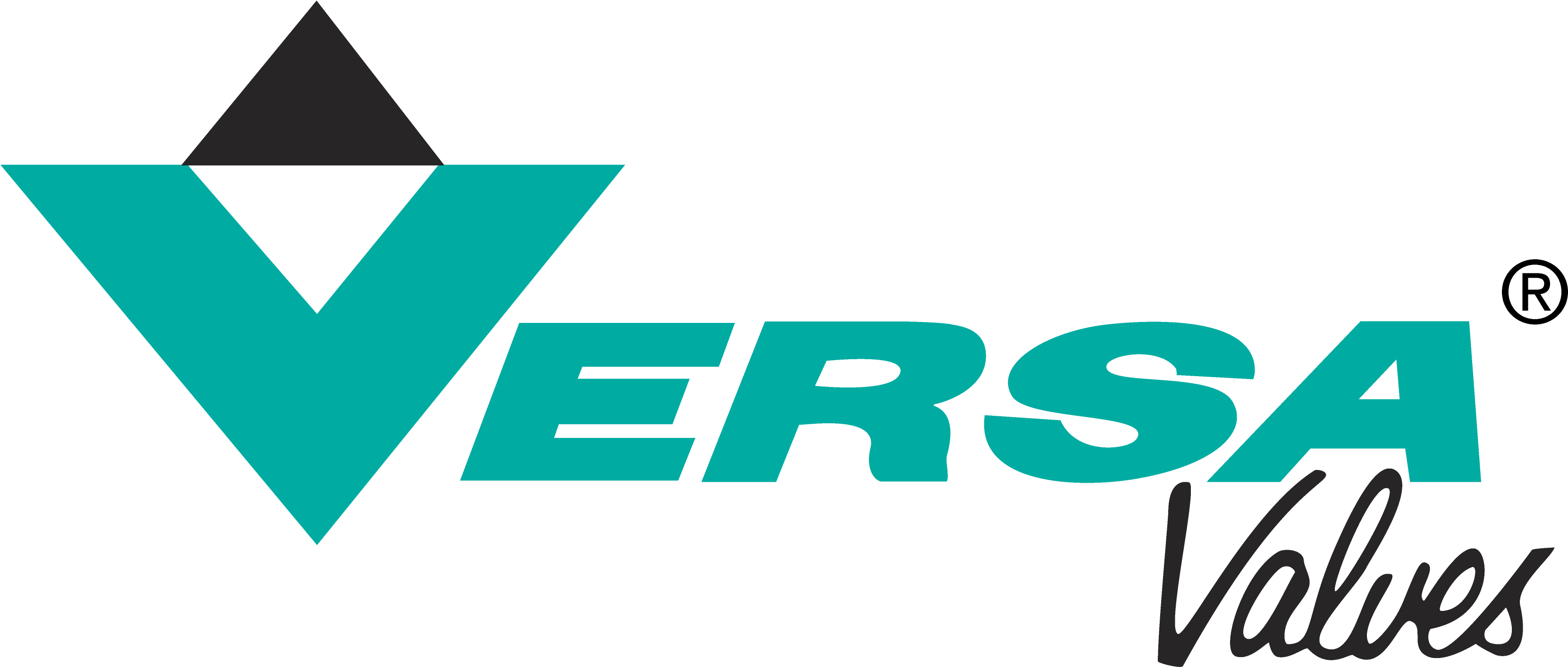 Download Versa Valves Logo PNG Image with No Background - PNGkey.com