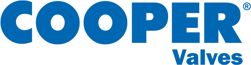 Download Cooper Valves PNG Image with No Background - PNGkey.com