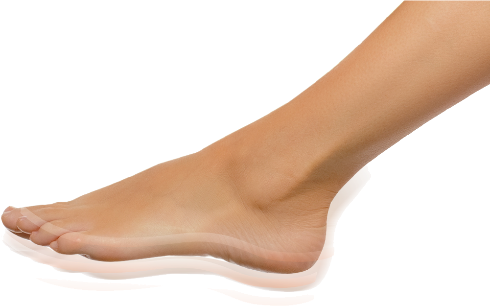 Download Toe PNG Image with No Background - PNGkey.com