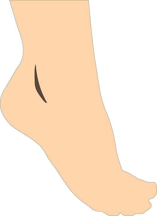 Feet Clipart Vector - Foot Clip Art Png - Free Transparent PNG Download ...