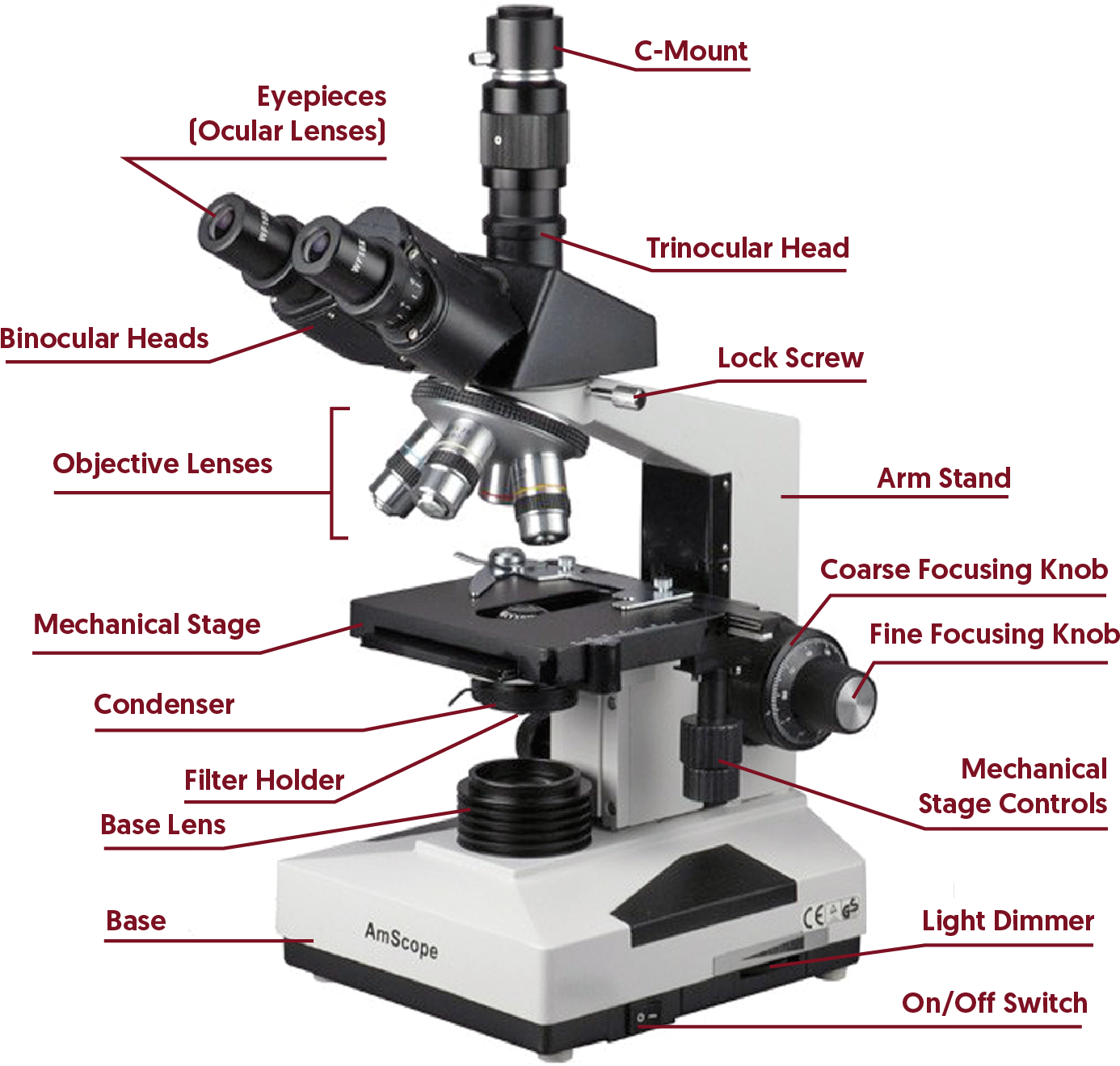 Compound Microscope - Inclination Joint In Microscope - Free ...