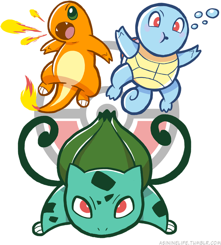 Download Author Comments - Turquoise-browed Motmot PNG Image with No ...