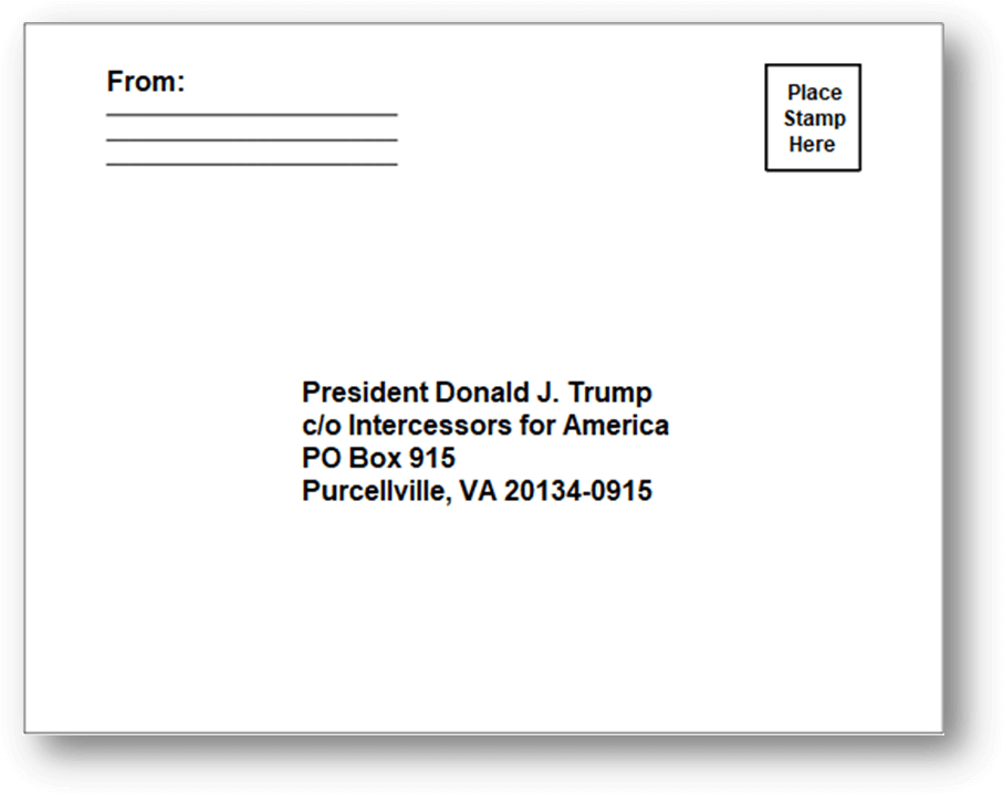 Download Free Resource - Donald Trump PNG Image with No Background ...