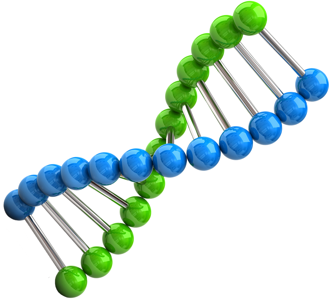 Download Chromosome Different Ways To Collect Dna Samples - Chromozom ...