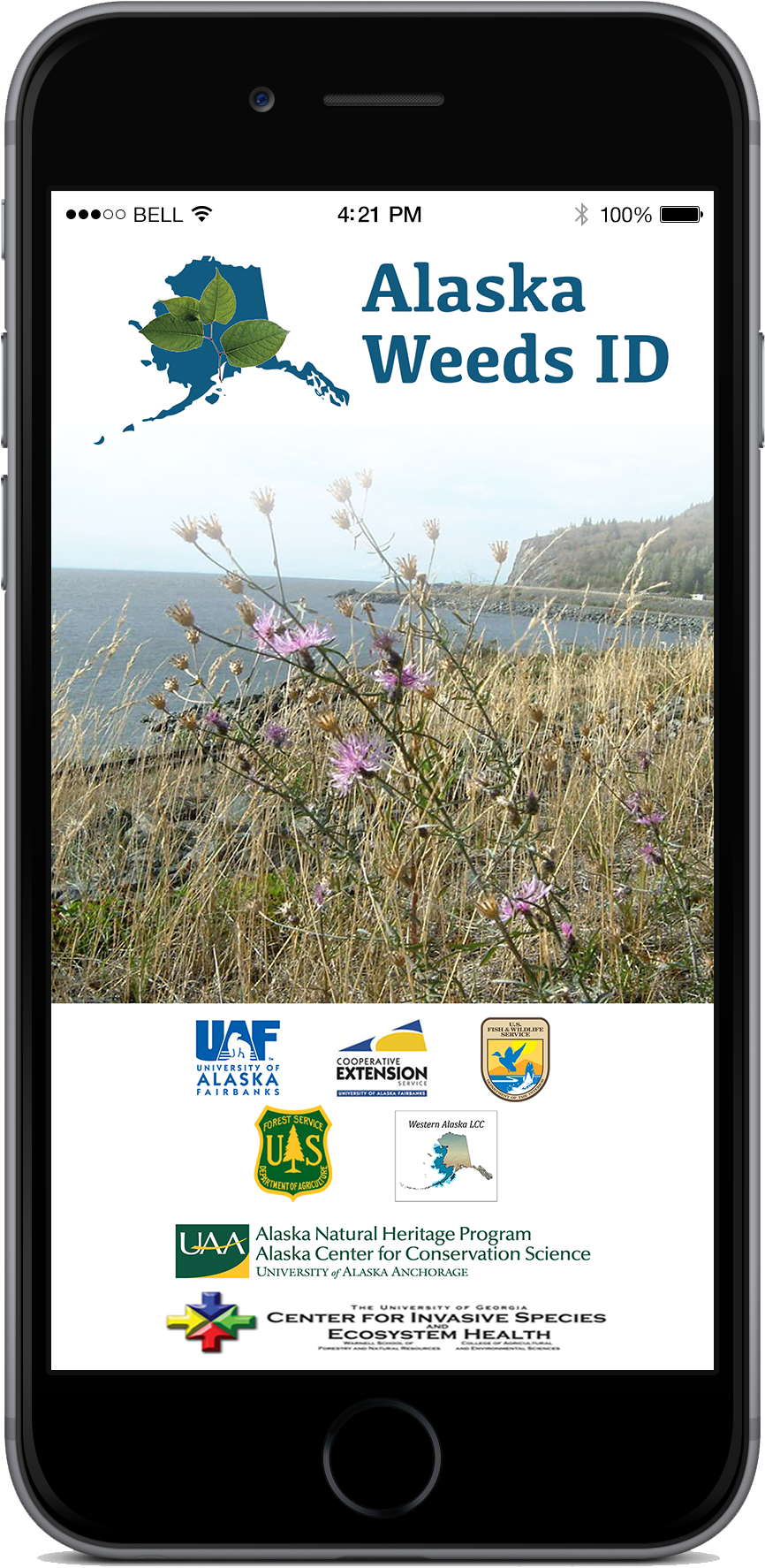 Download Real-time Point Distribution Maps Centered On Your - Minecraft ...