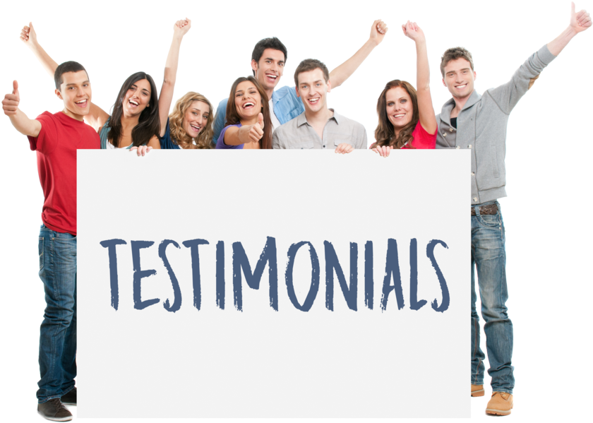 Download Testimonials - Novice Guide To How To Write A Thesis: Quick ...