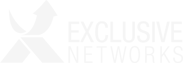 Download Exclusive Group - Exclusive Networks Logo PNG Image with No ...
