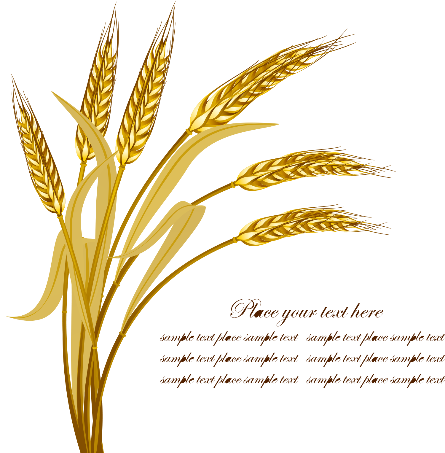 Download Wheat Crop Golden Transprent - Wheat Vector PNG Image with No ...