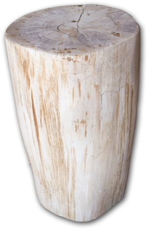 Download Petrified Wood Log Stool Pf-2096 PNG Image with No Background ...