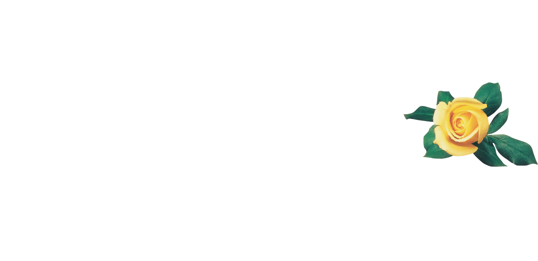 Download Png - Marvin Windows Logo White PNG Image with No Background ...