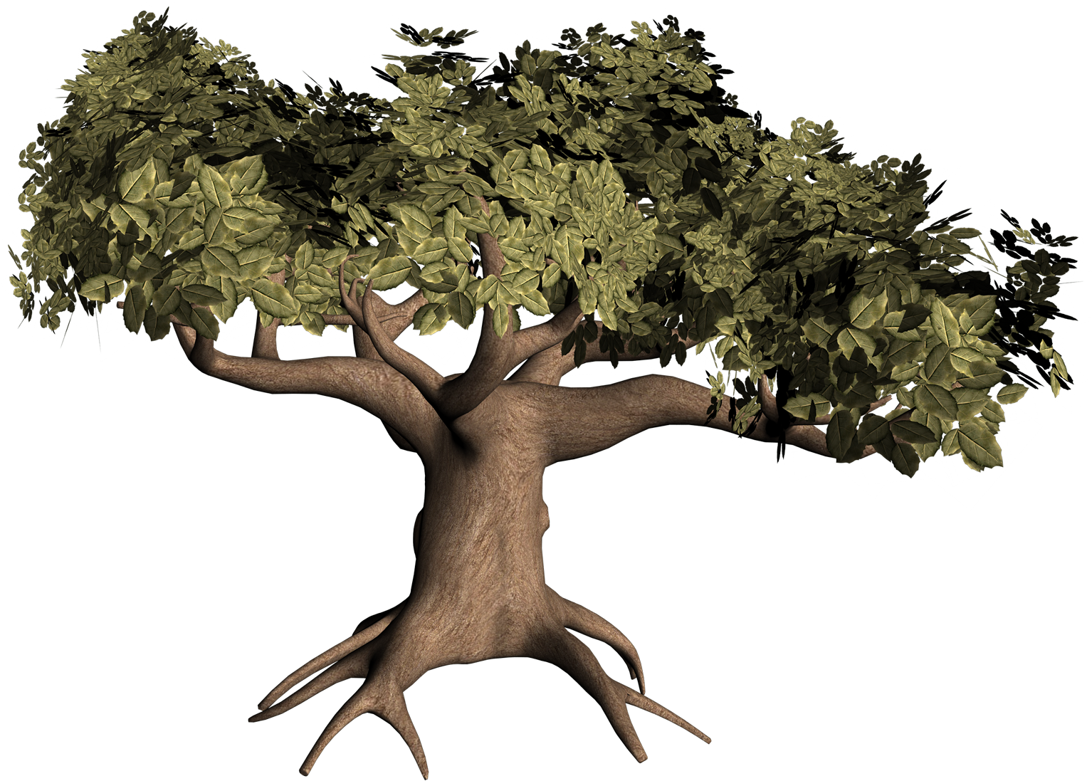 Download 3d Tree Png Png Library PNG Image with No Background - PNGkey.com