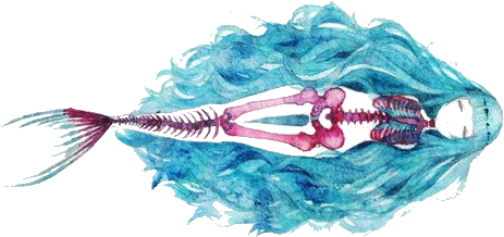 Download Transparent Mermaid, Tumblr - Mermaid Png PNG Image with No ...