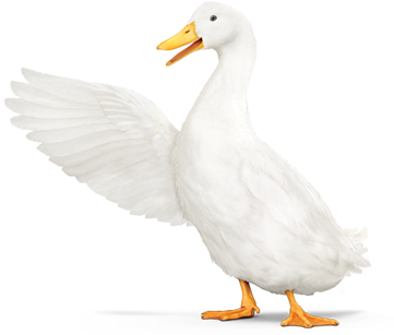 Aflac Duck With Wing Pointing Left - Aflac Duck Transparent - Free ...