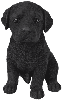 Pet Pals Black Labrador Puppy - Black Labrador Puppy - Free Transparent ...