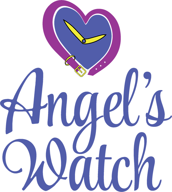 Download Us Angels, Inc. PNG Image with No Background - PNGkey.com
