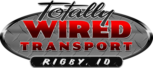 Download Totally Wired Transport