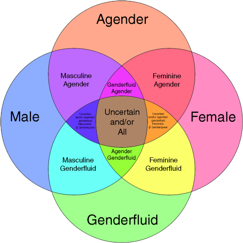 Gender Id Chart - Gender Spectrum Explained - Free Transparent PNG ...