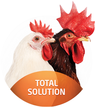 Download Poultry Feed - Japfa Comfeed PNG Image with No Background ...