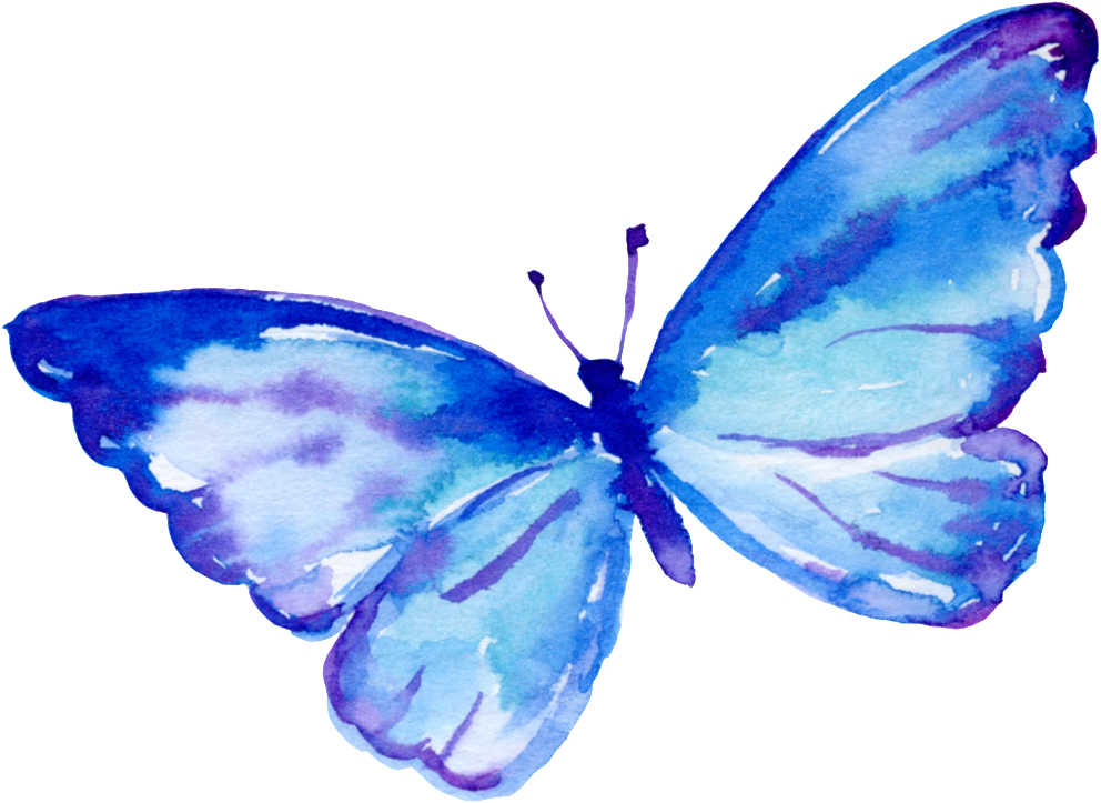 Download Flying Butterfly Cartoon Transparent - Flying Butterfly ...
